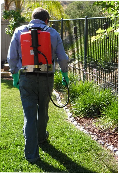 Where Does Pest Control Spray in Apartments? - Main Sail Pest Control
